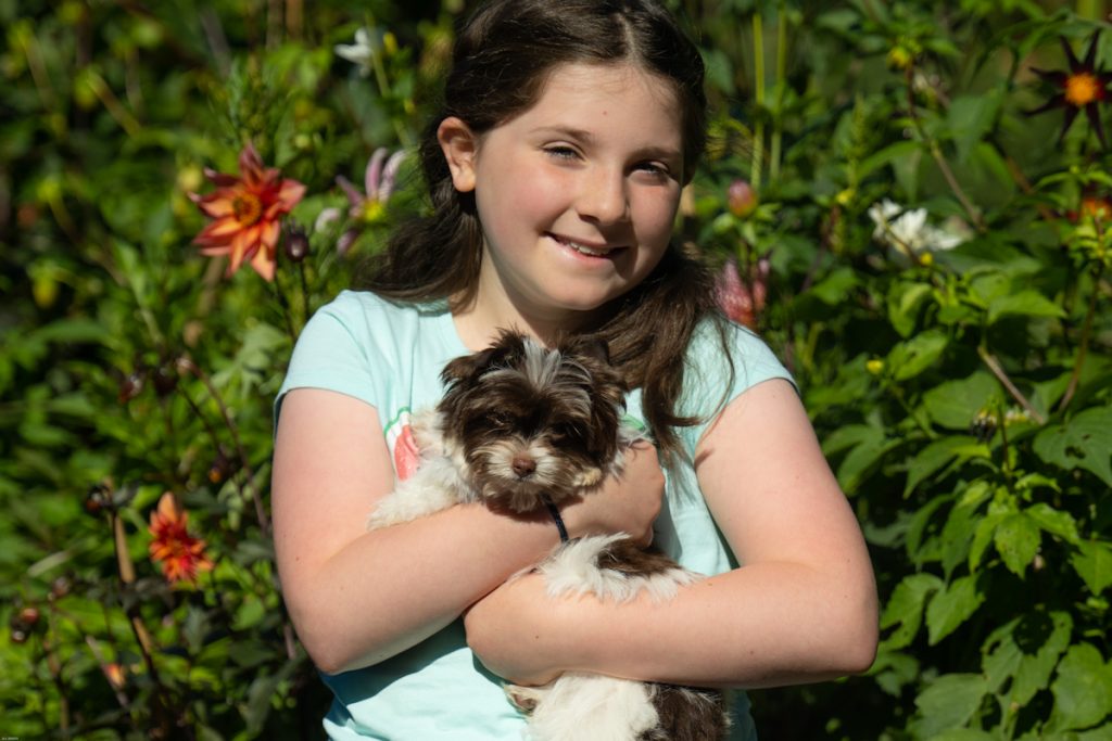 Colour Me In | Puppy Care Tips | Caring For Our Puppies